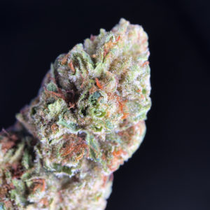 Private Reserve Archives - Exotic Blooms - Experience Washington D.C's ...
