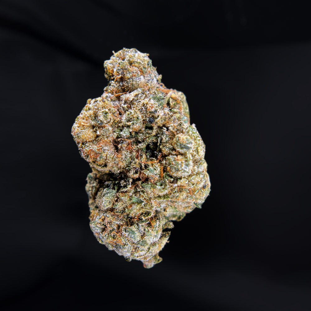 Exclusive Designer Archives - Exotic Blooms - Experience Washington D.C ...