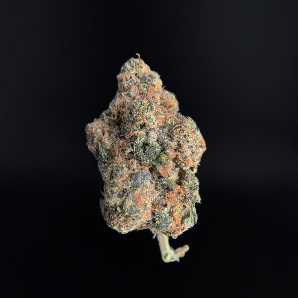 Flower Archives - Page 3 of 4 - Exotic Blooms - Experience Washington D ...