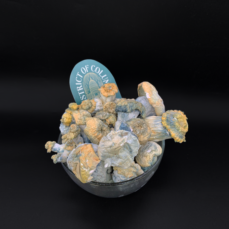 Shakti Magic Mushrooms - Exotic Blooms - Experience Washington D.C's ...