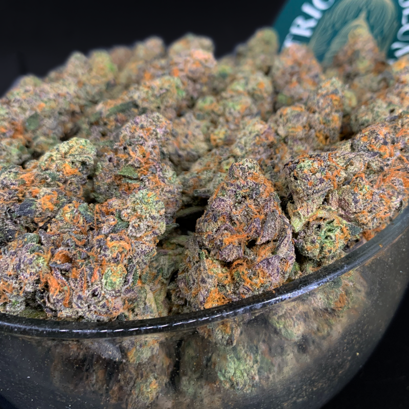 Exclusive Designer Archives - Exotic Blooms - Experience Washington D.C ...