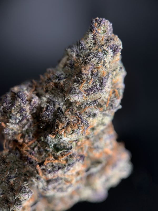 Jungle Boys Strains – Exotic Blooms Delivery – DC Weed Delivery & VA ...